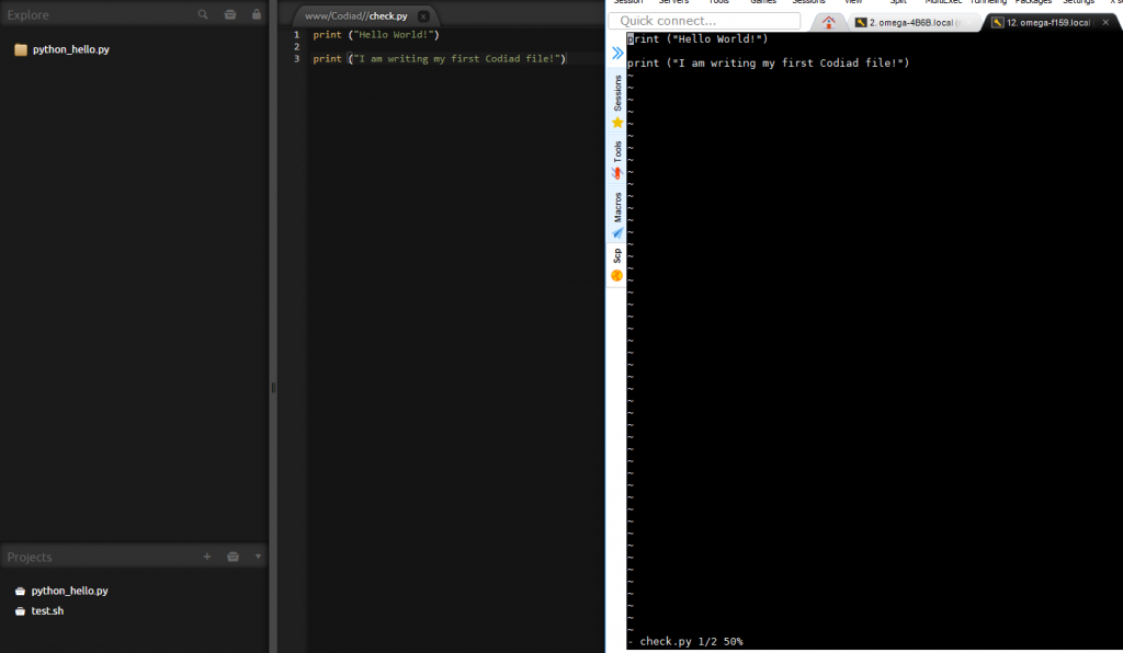Codiad Browser IDE – Onion